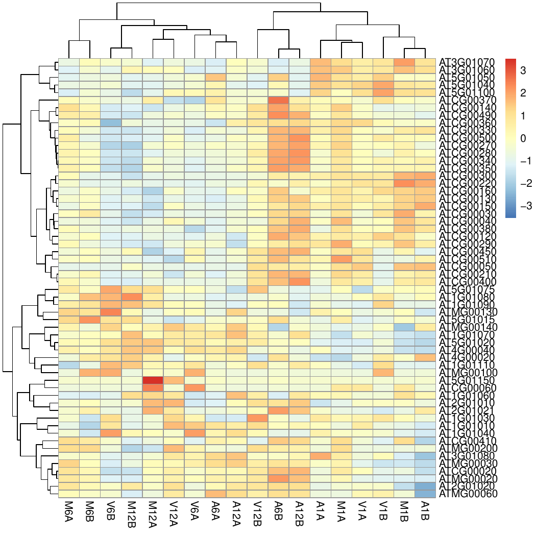 RNA-Seq Workflow Template | GEN242